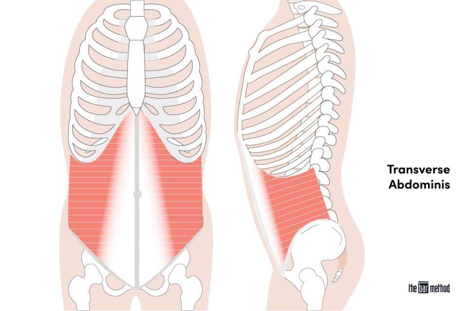 Transverse Abdominis Workout to Target Your Deepest Core Muscles | The ...